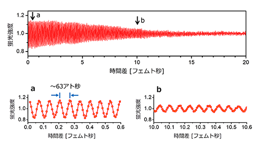 Institute for Molecular Science