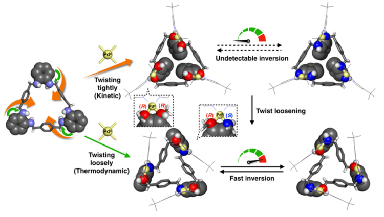 Twisting molecules to design new molecular machines that show complex ...
